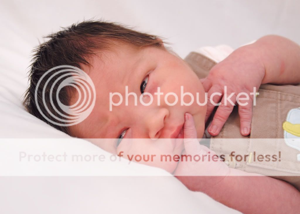 Anyone want to share photos of their half Chinese half white babies ...