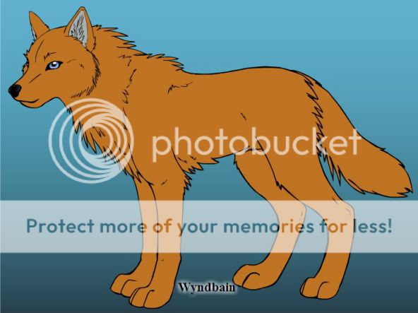 View topic - WOLVES of the BEYOND ( Wolves with powers accepting ...