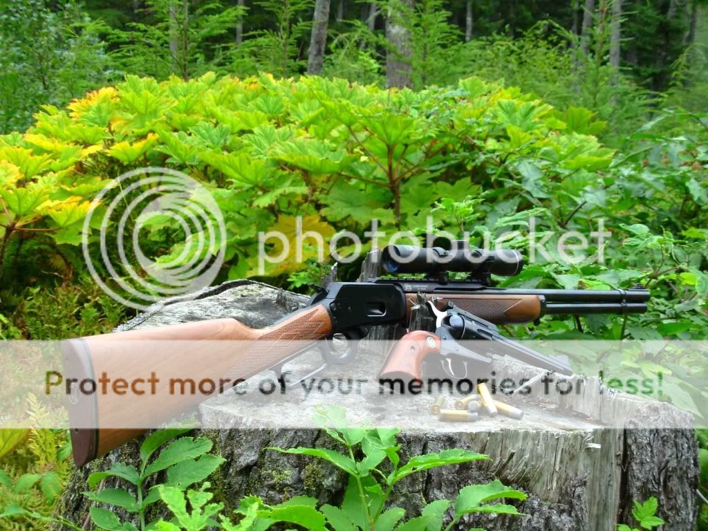 45 Long Colt ballistics in rifle? | Marlin Firearms Forum